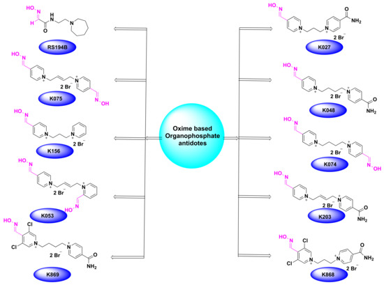 FDA-Approved Oximes and Their Significance in Medicinal Chemistry