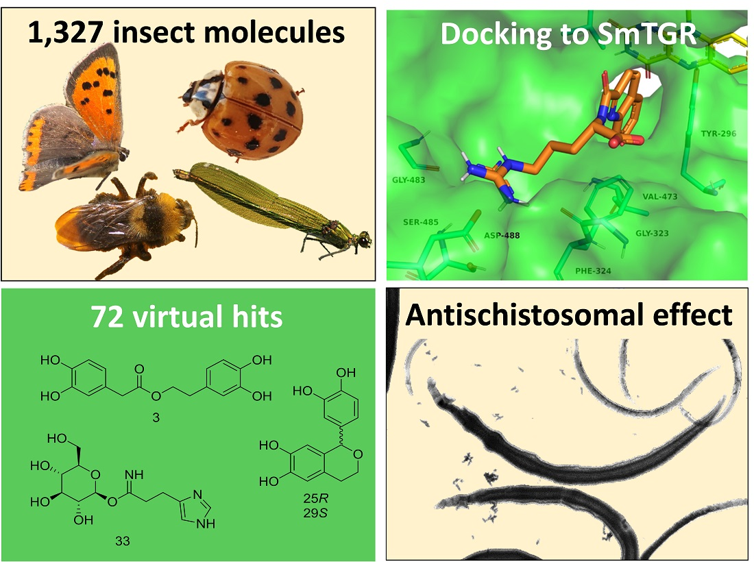 Pharmaceuticals | Free Full-Text | First In Silico Screening of Insect ...