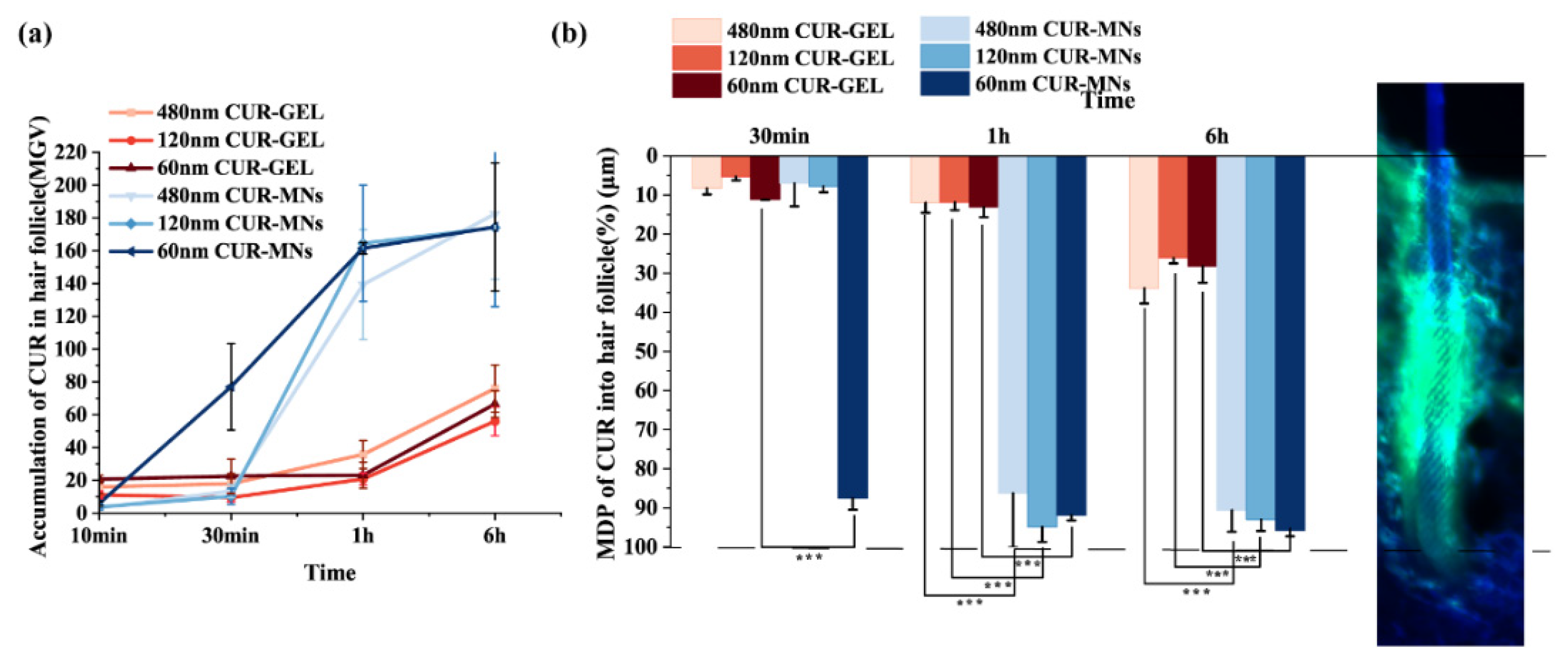 Particle Size Effect Of Curcumin Nanocrystals On Transdermal And
