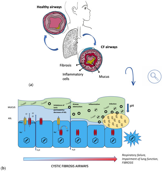 N-acetylcysteine (NAC) and Its Role in Clinical Practice Management of ...