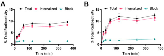 Therapeutic Efficacy of 177Lu-Labeled A20FMDV2 Peptides Targeting ανβ6