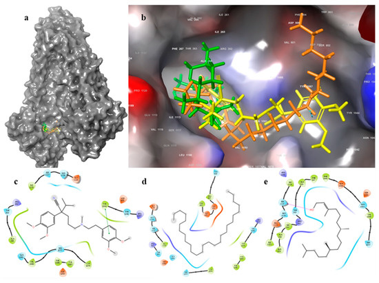 Phytol and Heptacosane Are Possible Tools to Overcome Multidrug ...