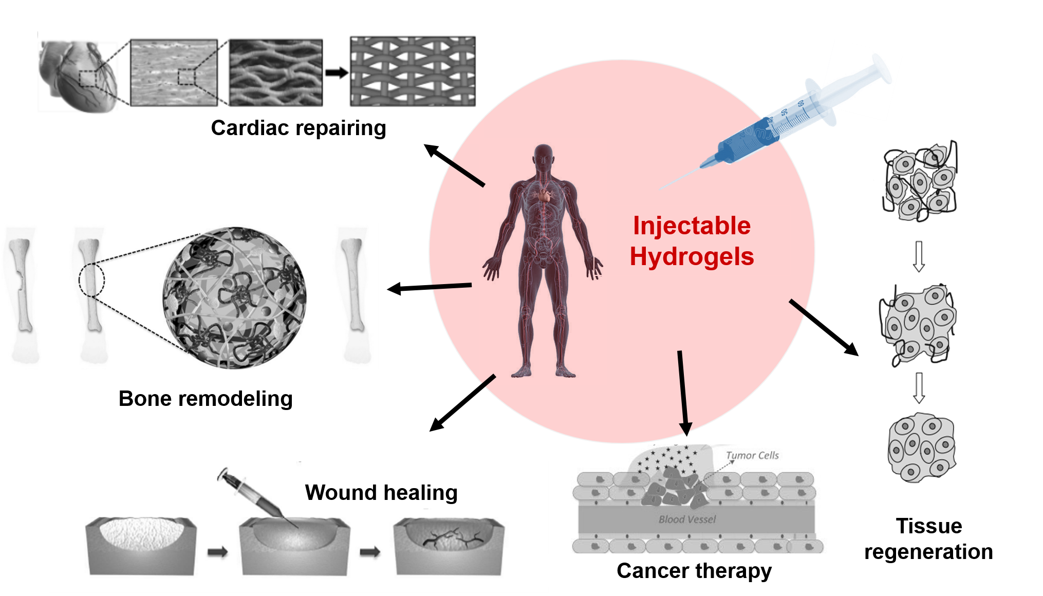 Pharmaceuticals | Free Full-Text | Current and Future Prospective of ...