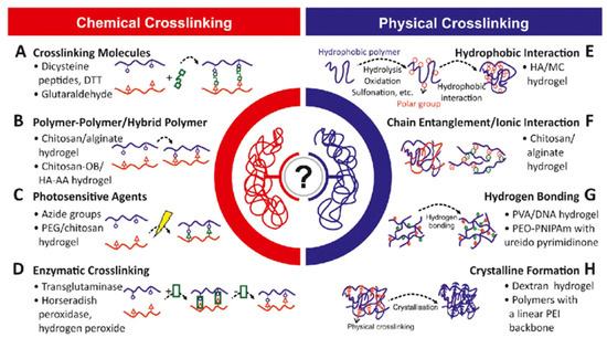 Current and Future Prospective of Injectable Hydrogels—Design ...