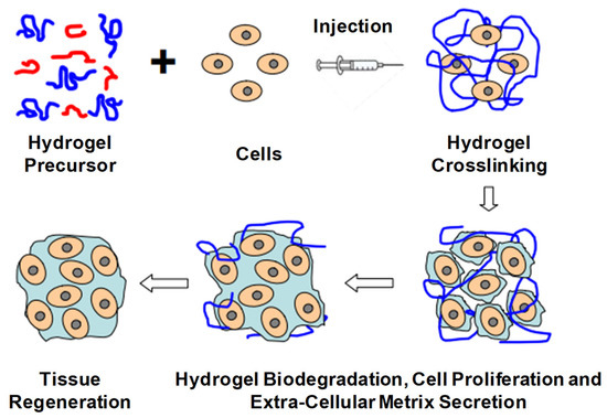 Current and Future Prospective of Injectable Hydrogels—Design ...