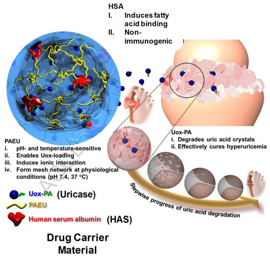 Current and Future Prospective of Injectable Hydrogels—Design ...