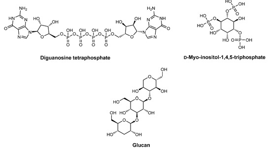Up-to-Date Overview of the Use of Natural Ingredients in Sunscreens