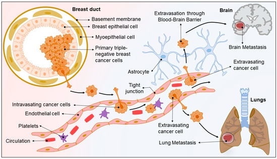 Emergence of Nanotechnology as a Powerful Cavalry against Triple ...