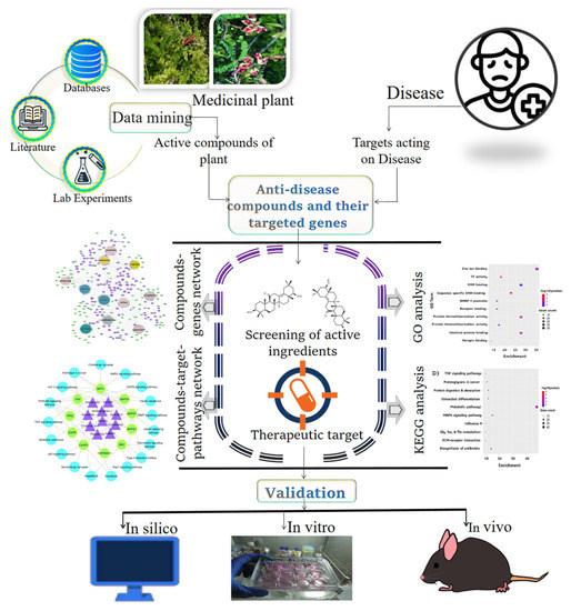 Network Pharmacology Approach for Medicinal Plants: Review and Assessment
