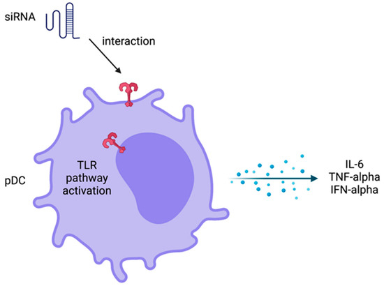 Biotechnological Evolution of siRNA Molecules: From Bench Tool to the ...