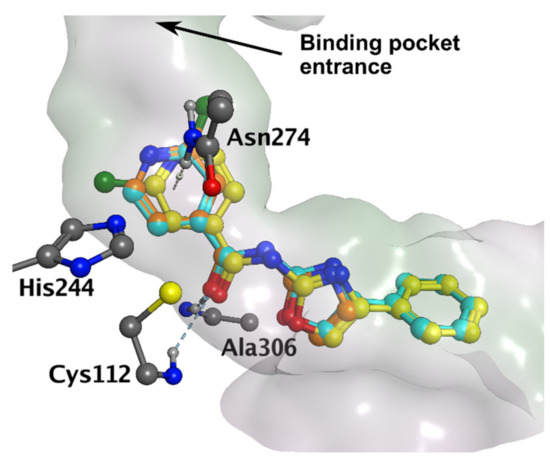 Improving Antimicrobial Activity and Physico-Chemical Properties by ...
