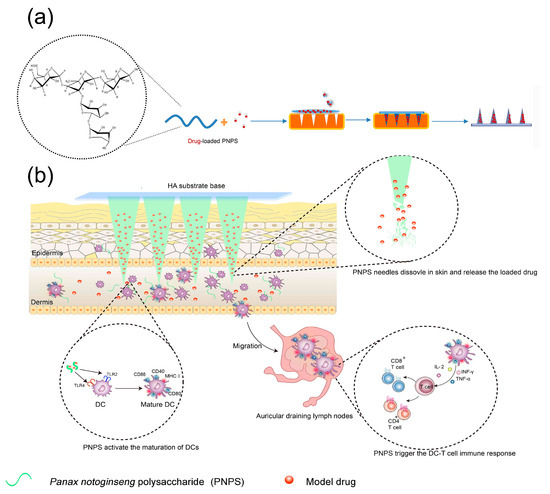 Polysaccharide-Based Transdermal Drug Delivery