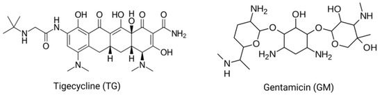 Tigecycline and Gentamicin-Combined Treatment Enhances Renal Damage ...