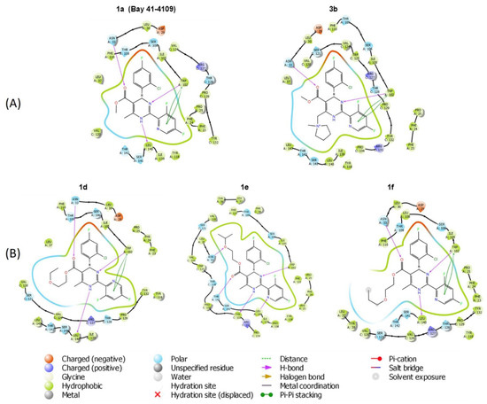 Design and Synthesis of Hepatitis B Virus (HBV) Capsid Assembly ...