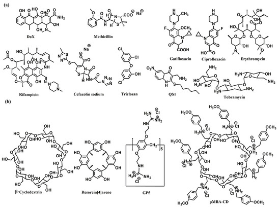Combatting Antibiotic Resistance Using Supramolecular Assemblies