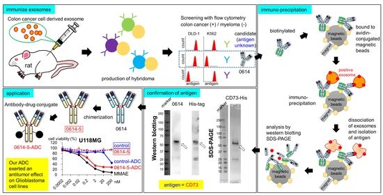 Pharmaceuticals | Free Full-Text | Identification of CD73 as the ...