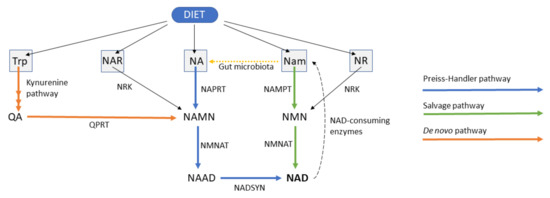 Pharmaceuticals | Free Full-Text | Structure-Based Identification and ...