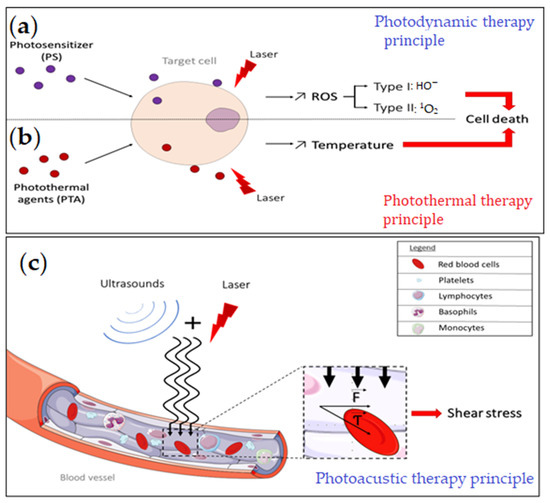 Aspects of Antiviral Strategies Based on Different Phototherapy ...