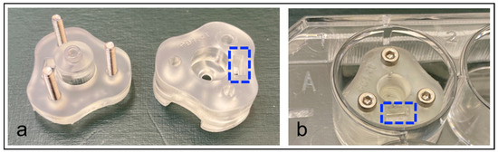 An Evaluation of the Drug Permeability Properties of Human Cadaveric In ...