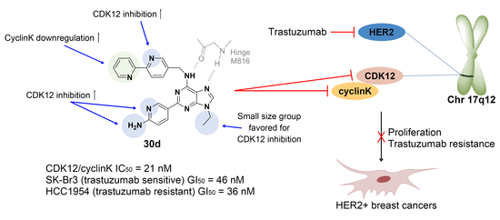 Pharmaceuticals | Free Full-Text | Novel 2,6,9-Trisubstituted Purines ...