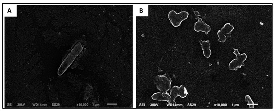 Bilosomes as Nanoplatform for Oral Delivery and Modulated In Vivo ...