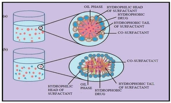 Self-Emulsifying Drug Delivery Systems (SEDDS): Measuring Energy ...