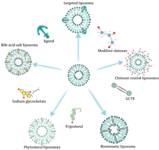 Recent Advances in Oral Peptide or Protein-Based Drug Liposomes