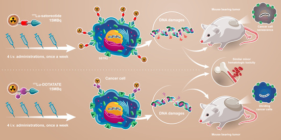 Pharmaceuticals | Free Full-Text | Comparison of the Anti-Tumour ... Pharmaceuticals | Free Full-Text | Comparison of the Anti-Tumour ...