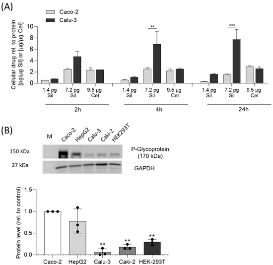 In Vitro Safety, Off-Target and Bioavailability Profile of the ...