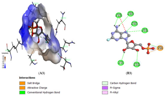 Fludarabine, a Potential DNA-Dependent RNA Polymerase Inhibitor, as a ...