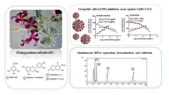 Pharmaceuticals | Free Full-Text | Pelargonium sidoides Root Extract: Simultaneous HPLC ...