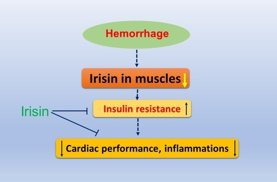 Pharmaceuticals | Free Full-Text | Irisin Preserves Cardiac Performance and Insulin Sensitivity ...