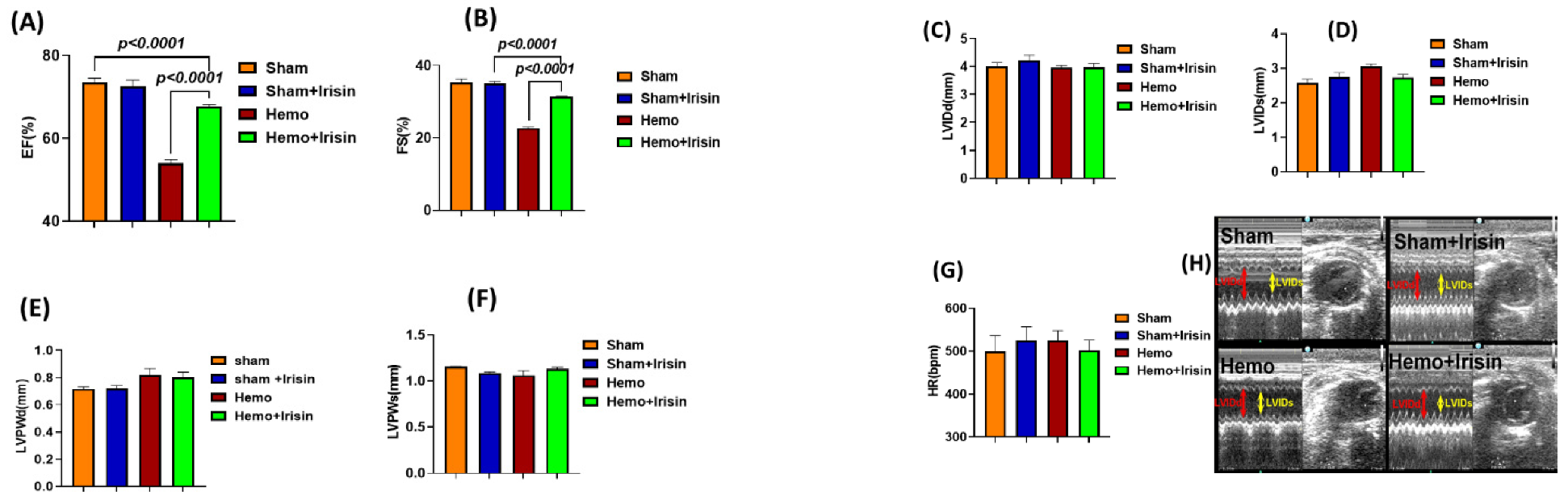 Irisin Preserves Cardiac Performance and Insulin Sensitivity in Response to Hemorrhage