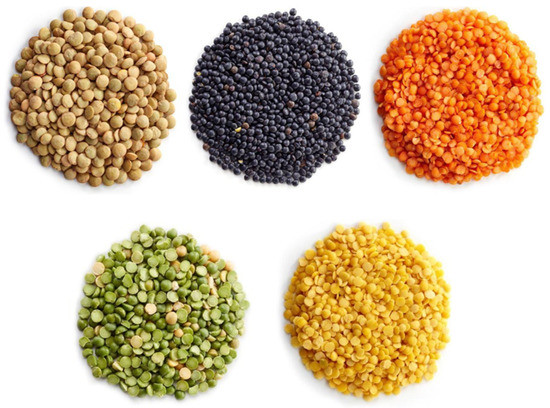 Polyphenols, Saponins and Phytosterols in Lentils and Their Health ...
