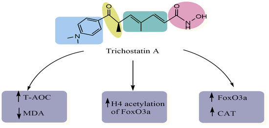 Pharmacological Properties of Trichostatin A, Focusing on the ...