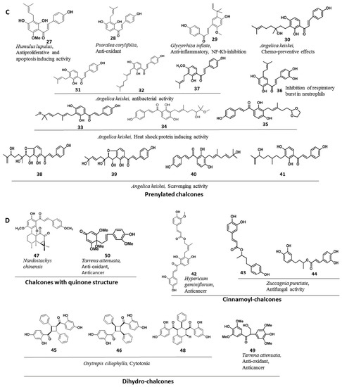 Chalcone: A Promising Bioactive Scaffold in Medicinal Chemistry