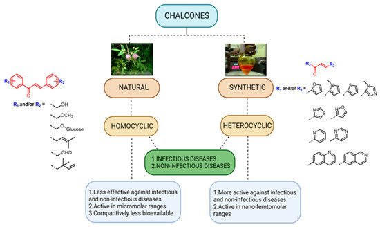 Chalcone: A Promising Bioactive Scaffold in Medicinal Chemistry