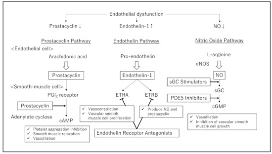 Pharmaceuticals | Free Full-Text | Recent Advances in the Treatment of ...