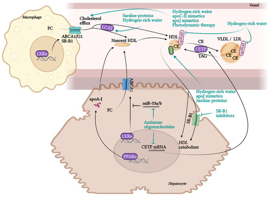 Alterations of HDL’s to piHDL’s Proteome in Patients with Chronic ...