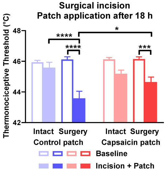 Development of Capsaicin-Containing Analgesic Silicone-Based ...