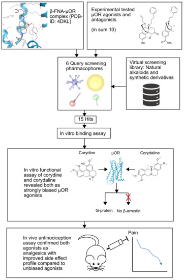 Mind the Gap—Deciphering GPCR Pharmacology Using 3D Pharmacophores and ...