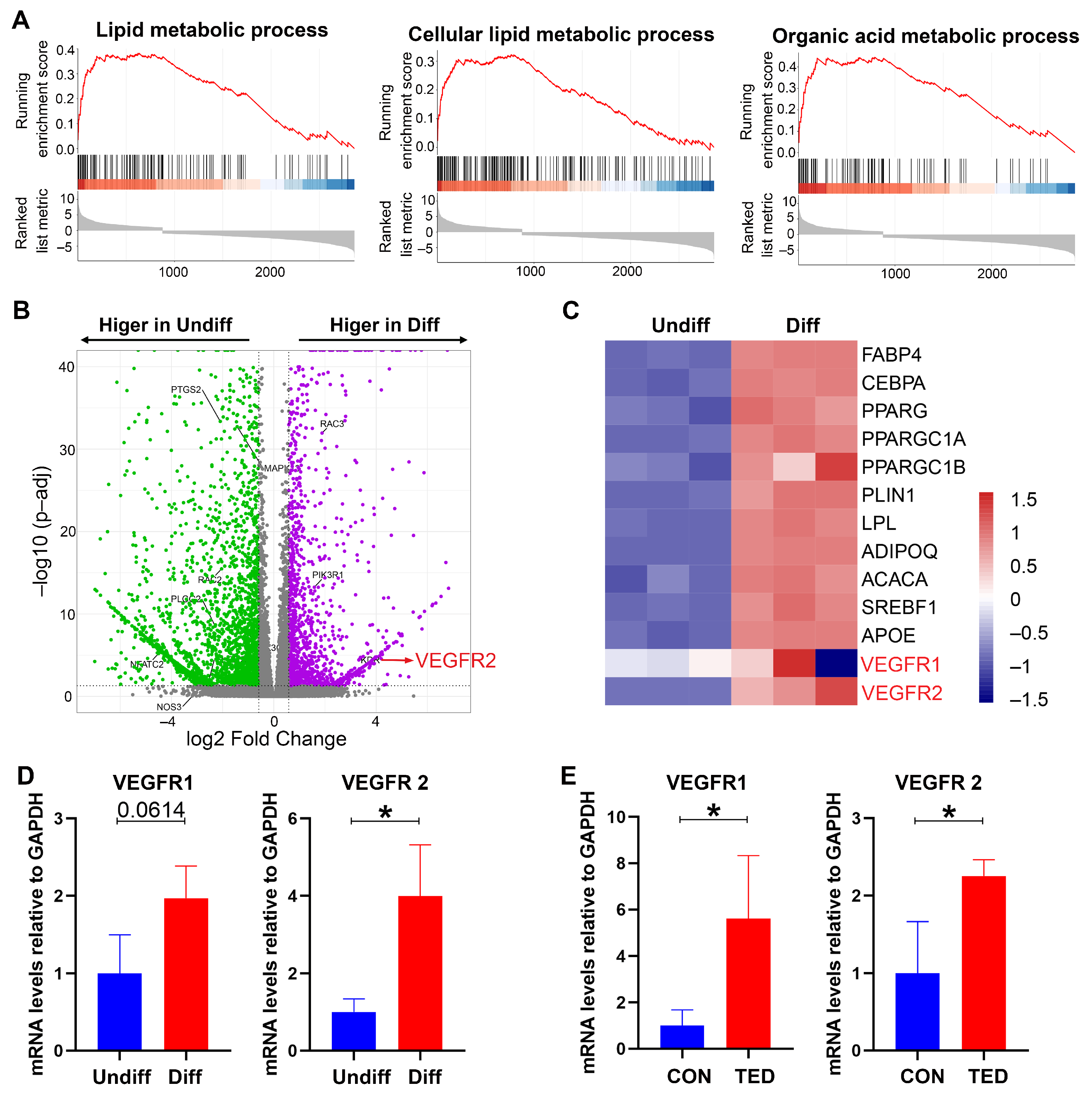 Repurposing Lenvatinib as A Potential Therapeutic Agent against Thyroid ...