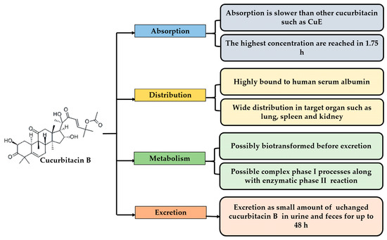 Pharmacokinetics and Biological Activity of Cucurbitacins