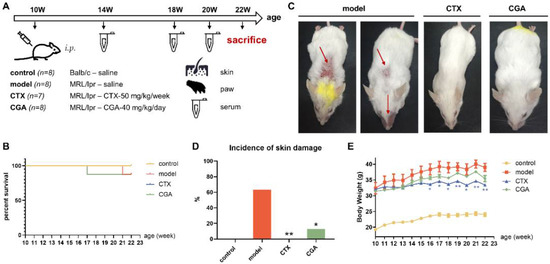 Chlorogenic Acid Relieves the Lupus Erythematosus-like Skin Lesions and ...