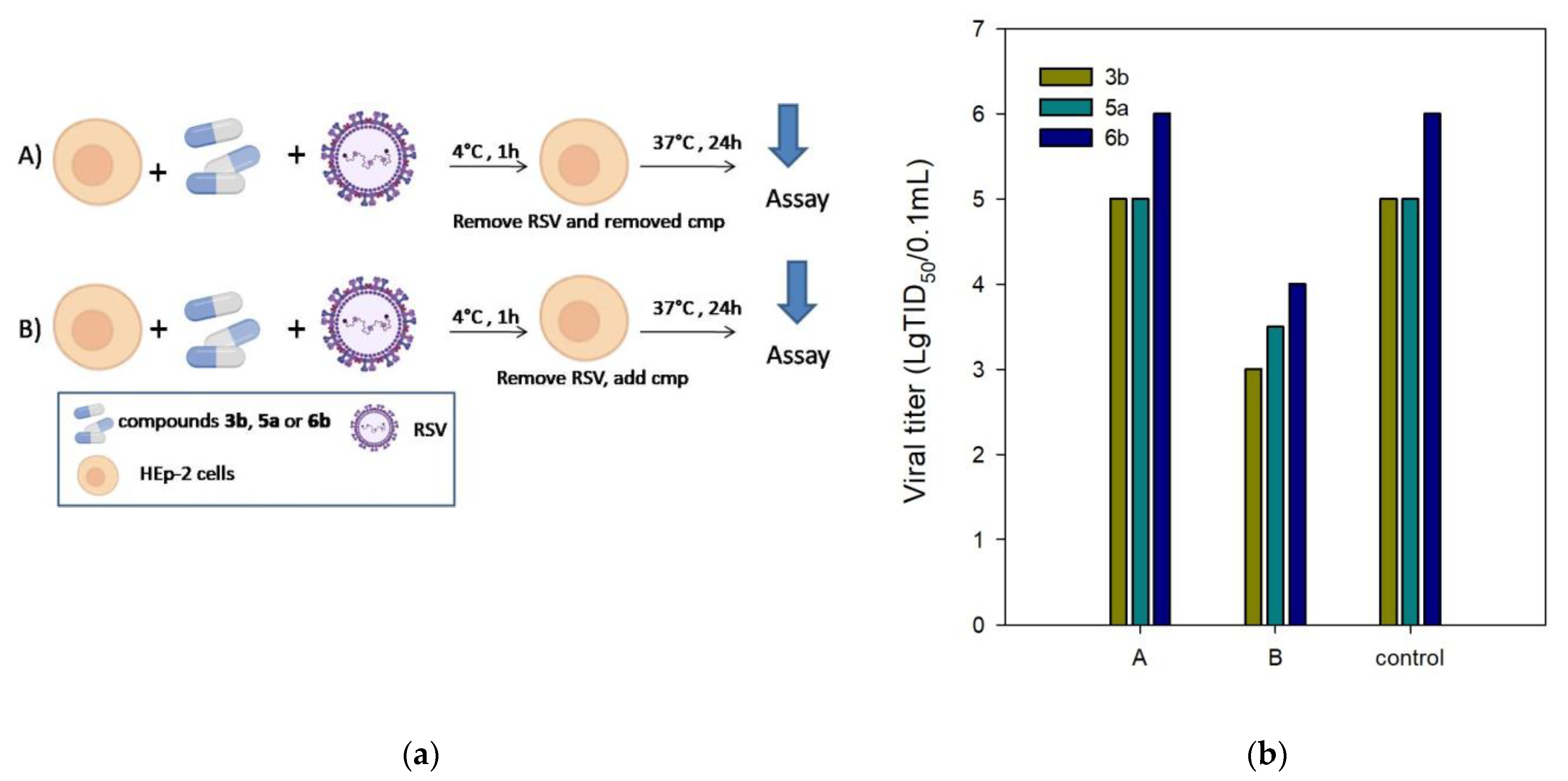 Pharmaceuticals | Free Full-Text | Discovery of N-Containing (-)-Borneol Esters as Respiratory ...