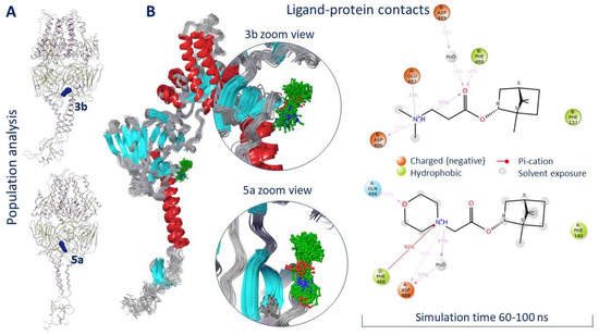 Pharmaceuticals | Free Full-Text | Discovery of N-Containing (-)-Borneol Esters as Respiratory ...