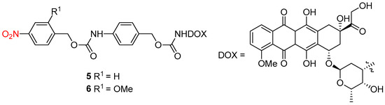 Nitro-Containing Self-Immolative Systems for Biological Applications