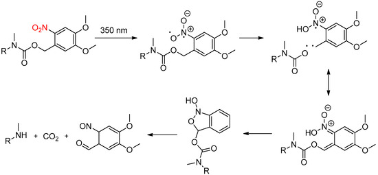 Nitro-Containing Self-Immolative Systems for Biological Applications