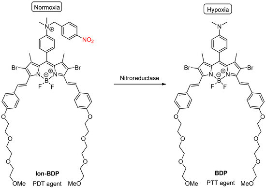 Nitro-Containing Self-Immolative Systems for Biological Applications