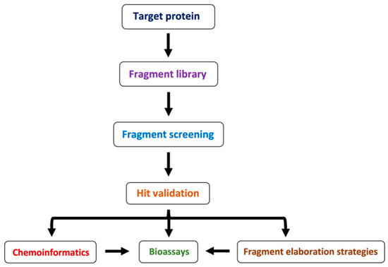 Implications of Fragment-Based Drug Discovery in Tuberculosis and HIV